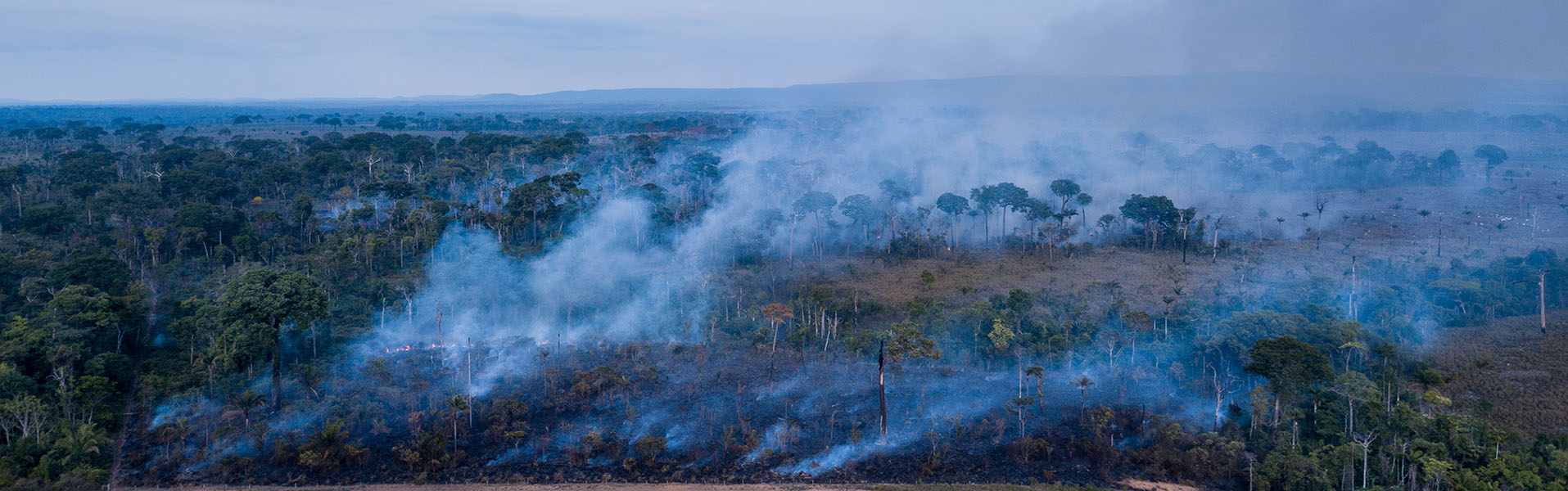 Climate crisis: claim at ICC to end impunity for destruction of the ...